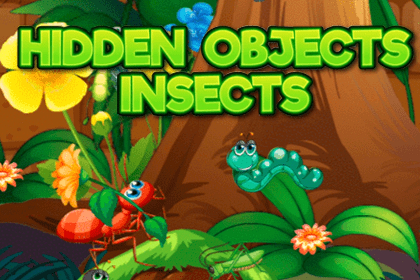 Hidden Objects Insects - Online Žaidimas | FunnyGames